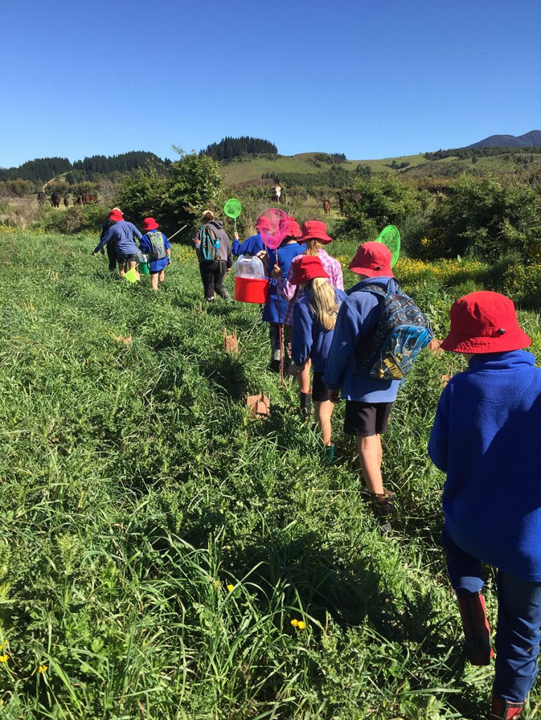 View Hill School: Kowhai Farm Mudfish Restoration - Climate Change ...